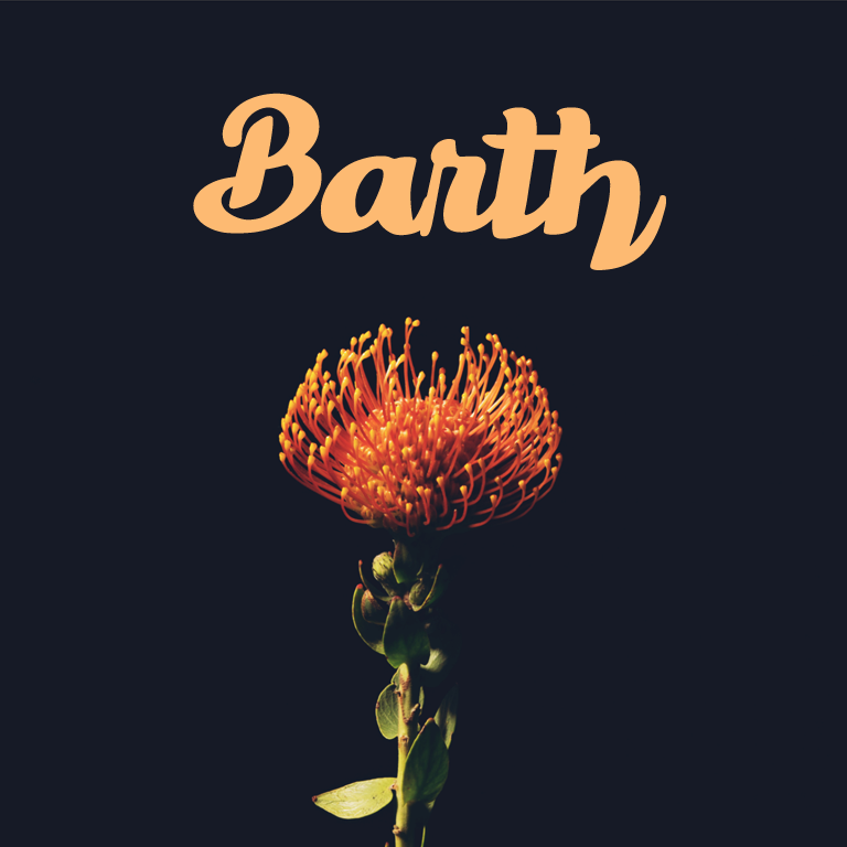 BARTH z debiutanckim singlem „Sam” - Polska Płyta / Polska Muzyka